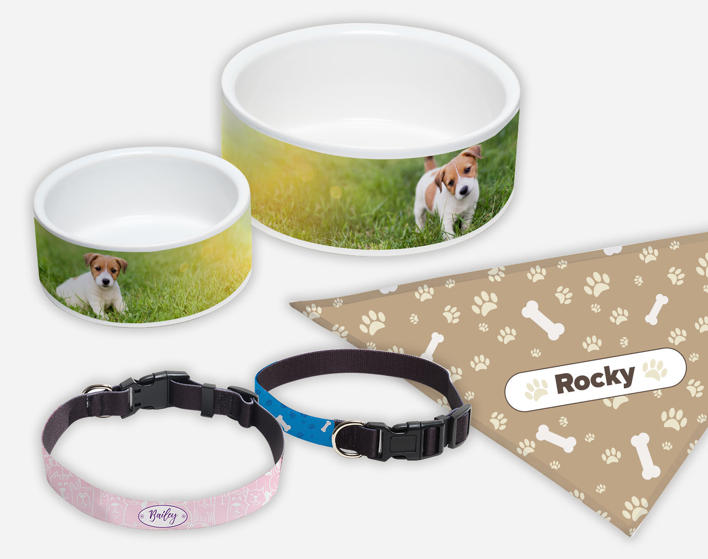 Pet Collection – Staples Printing