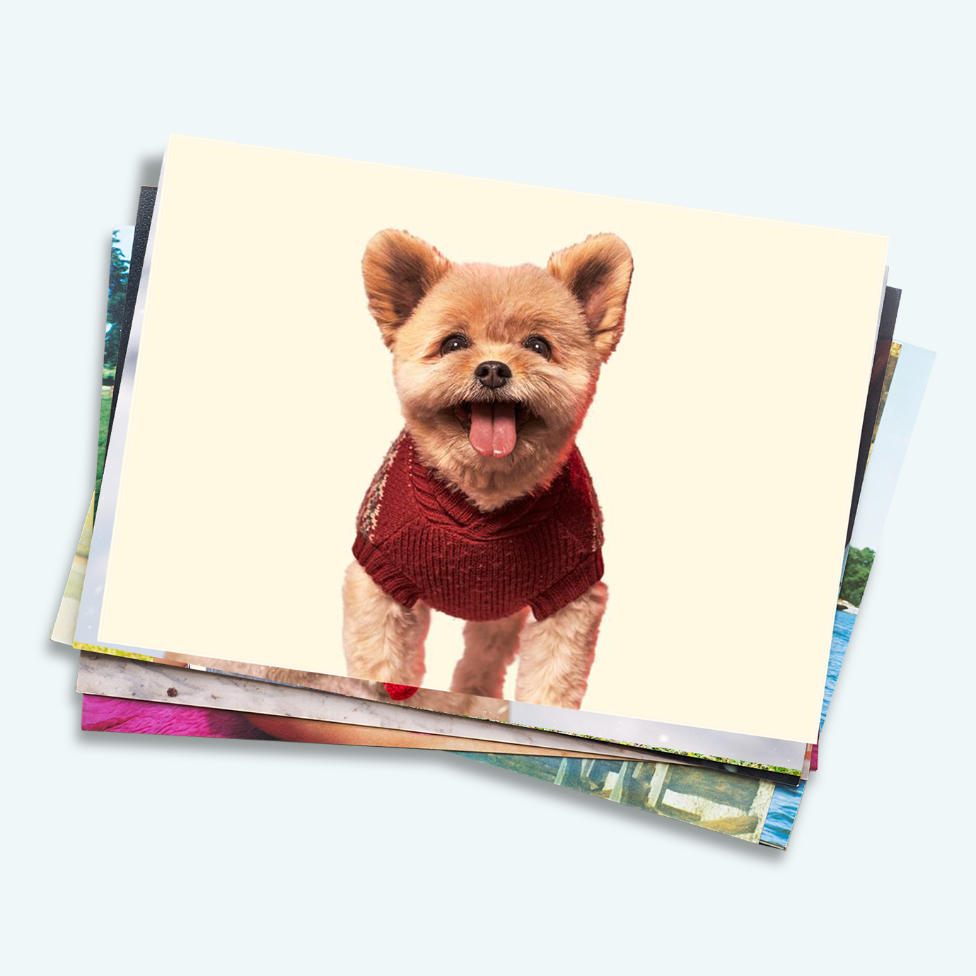 Shop Premium Photo Prints – Staples Printing